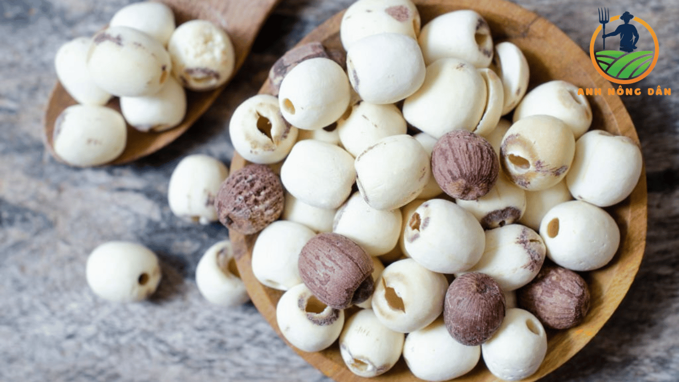 Chế biến món ăn từ hạt sen